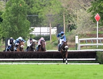 Un Grand Steeple-Chase de Paris 2023 riche en partants et indécis ...