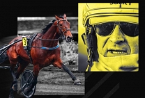 Quinté Plus Pmu Idéal Du Pommeau Est Attendu Quinté Zone Turf Fr