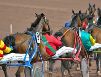 Quinté Plus PMU : course visée pour Happy Danica - Quinté+ | Zone-Turf.fr
