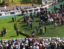 Les top chances du mardi 14 mai 2024 - Top chances | Zone-Turf.fr