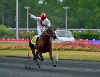 Prix des Centaures : Draft Life doit l'emporter - Trot | Zone-Turf.fr