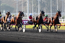 Quinté Plus Pmu Here We Go Peut Enchaîner Quinté Zone Turf Fr