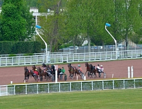 Quinté Plus Pmu Haitian Fight Song A Tout Pour Plaire Quinté