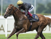 Fin de carrière pour le champion stayer Stradivarius - Plat | Zone-Turf.fr