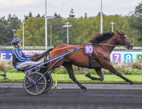 Quinté Plus PMU : Idao de Tillard peut briller dès sa rentrée - Quinté ...