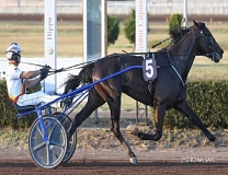Zacon Gio impressionne à Yonkers - Trot | Zone-Turf.fr